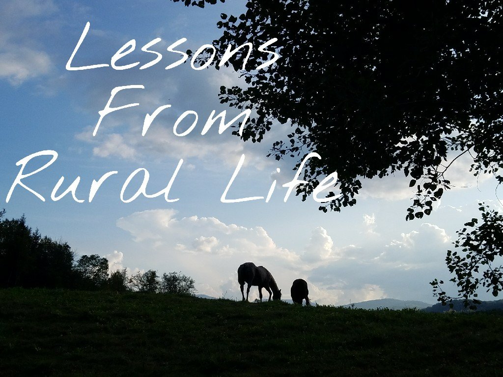 How to Maximize Lessons from Rural Life – Better Beauty Vermont